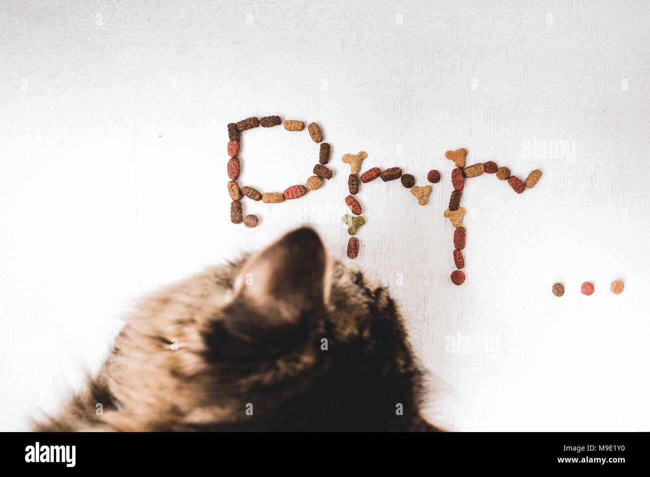 Bowl dog letters hi-res stock photography and images - Alamy