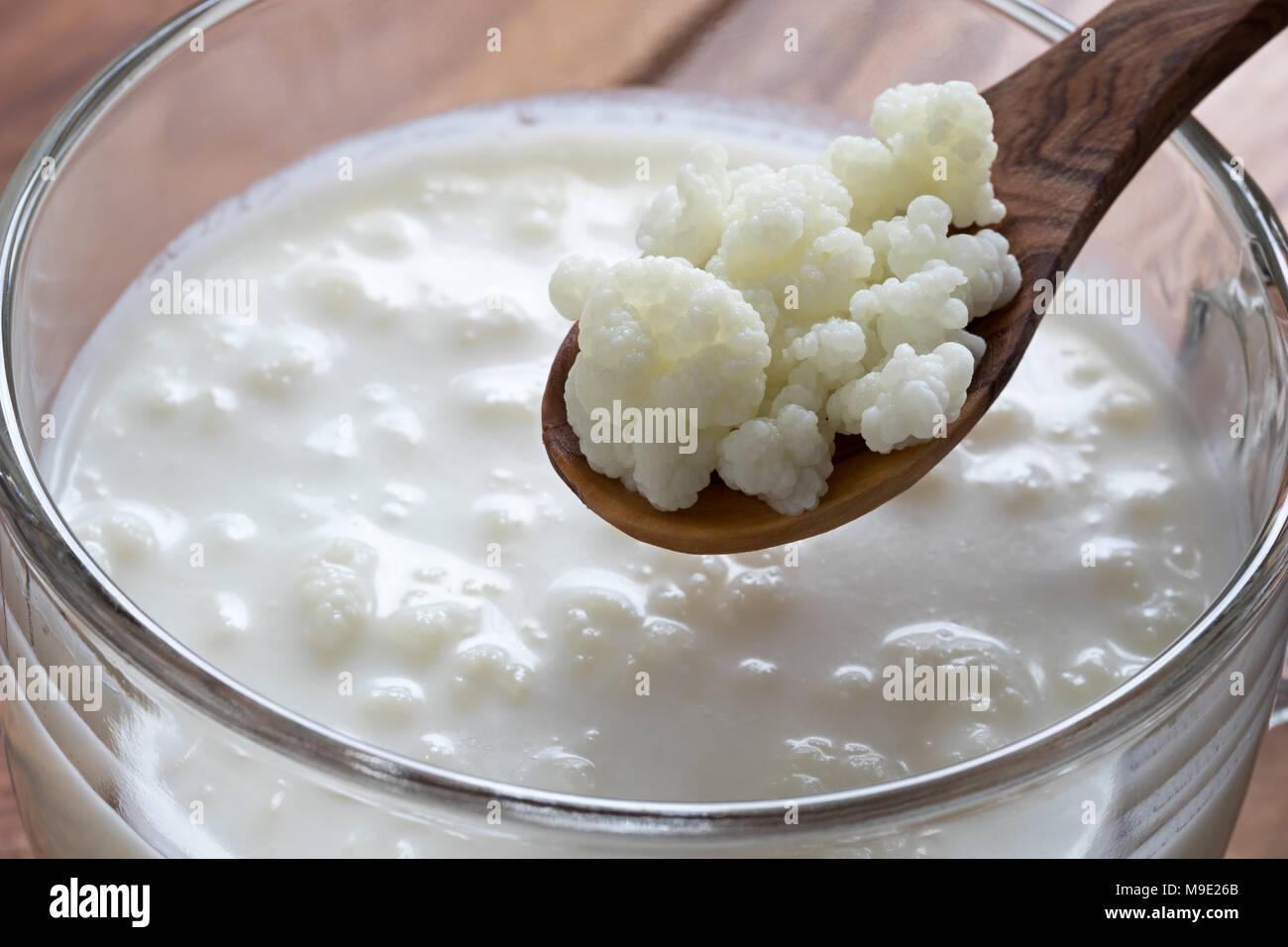 Kefir grains on a spoon above a jar of milk kefir Stock Photo - Alamy
