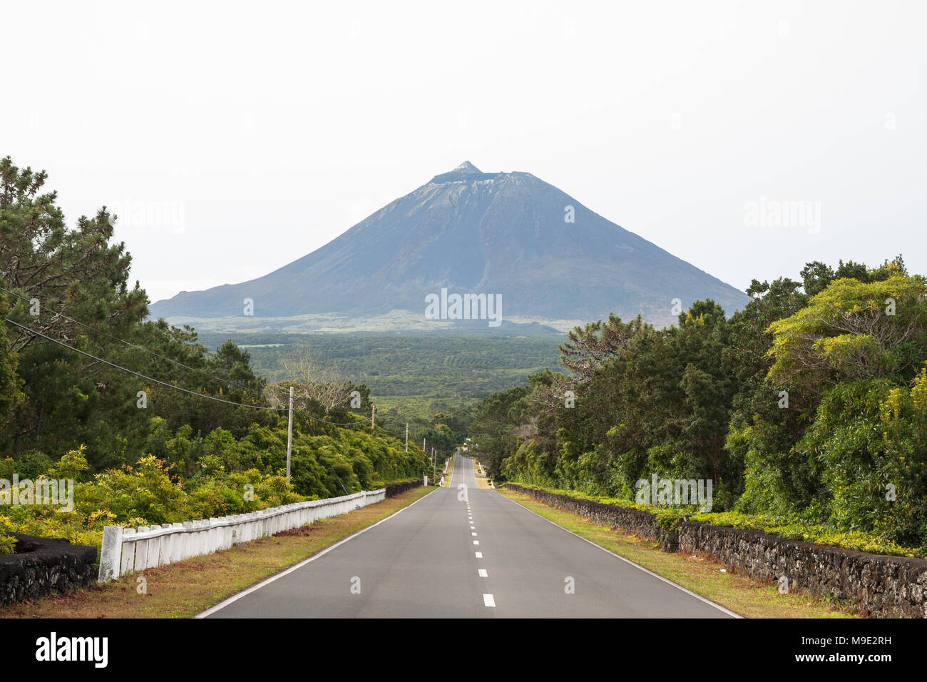 Direct asphalt road to the volcano Pico, Pico island, Azores Stock ...