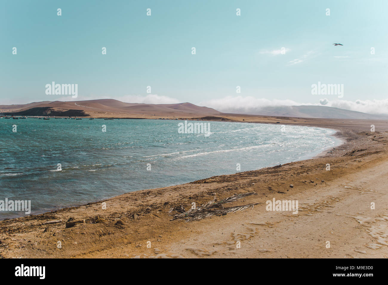 View over a Pacific Ocean bay on the coast of the Paracas National ...