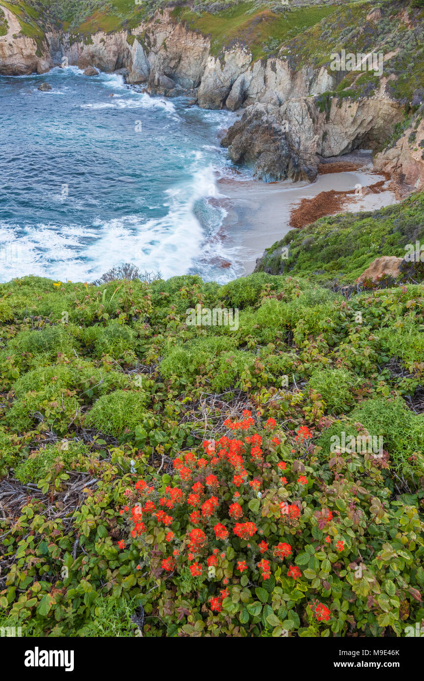 Garrapata state park hi-res stock photography and images - Alamy