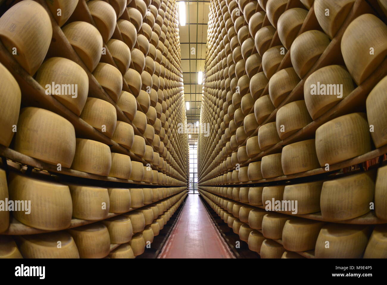 Parmesan cheese storage in Reggio Emilia, Italy Stock Photo - Alamy