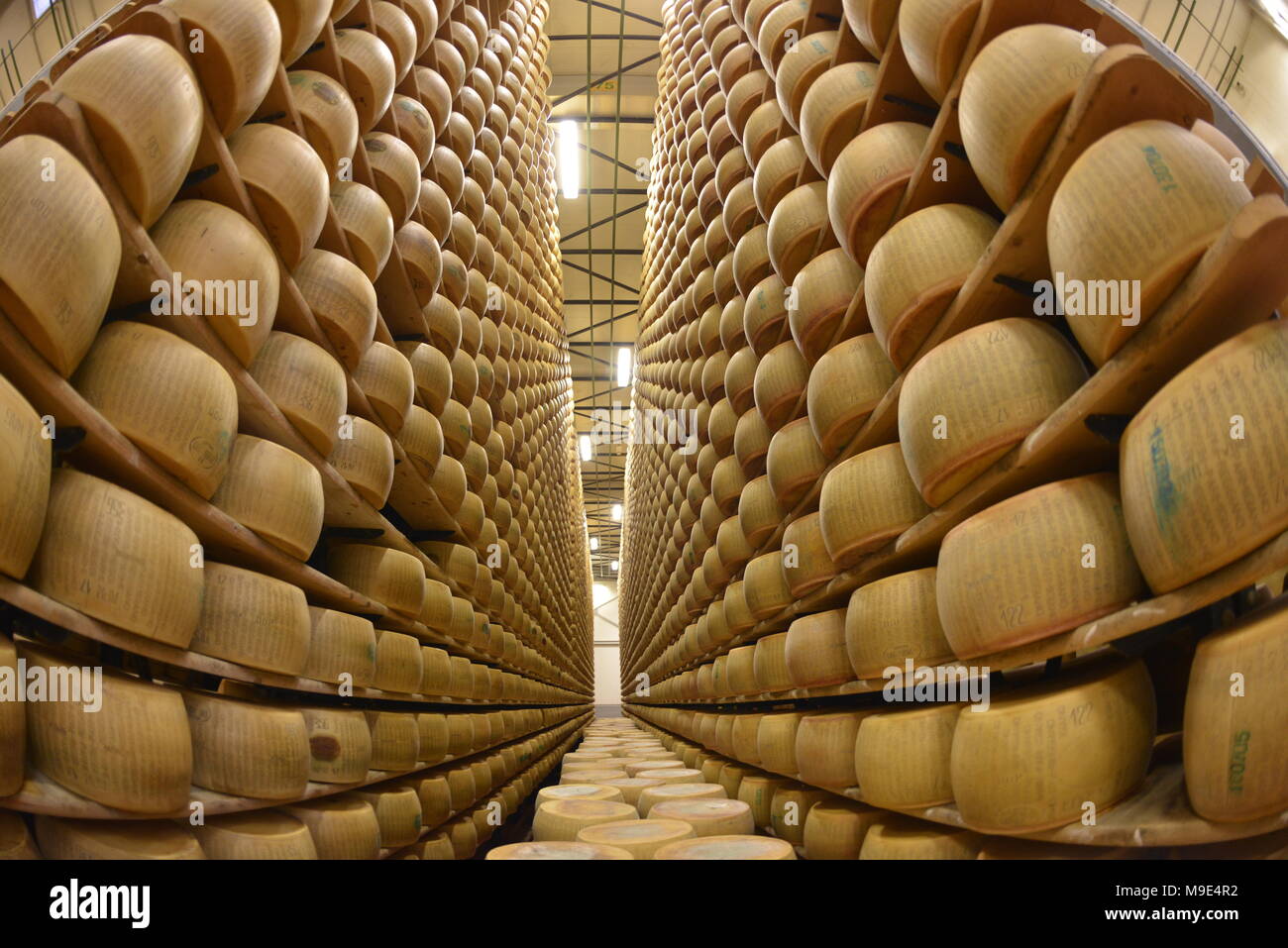 Parmesan cheese storage in Reggio Emilia, Italy Stock Photo - Alamy