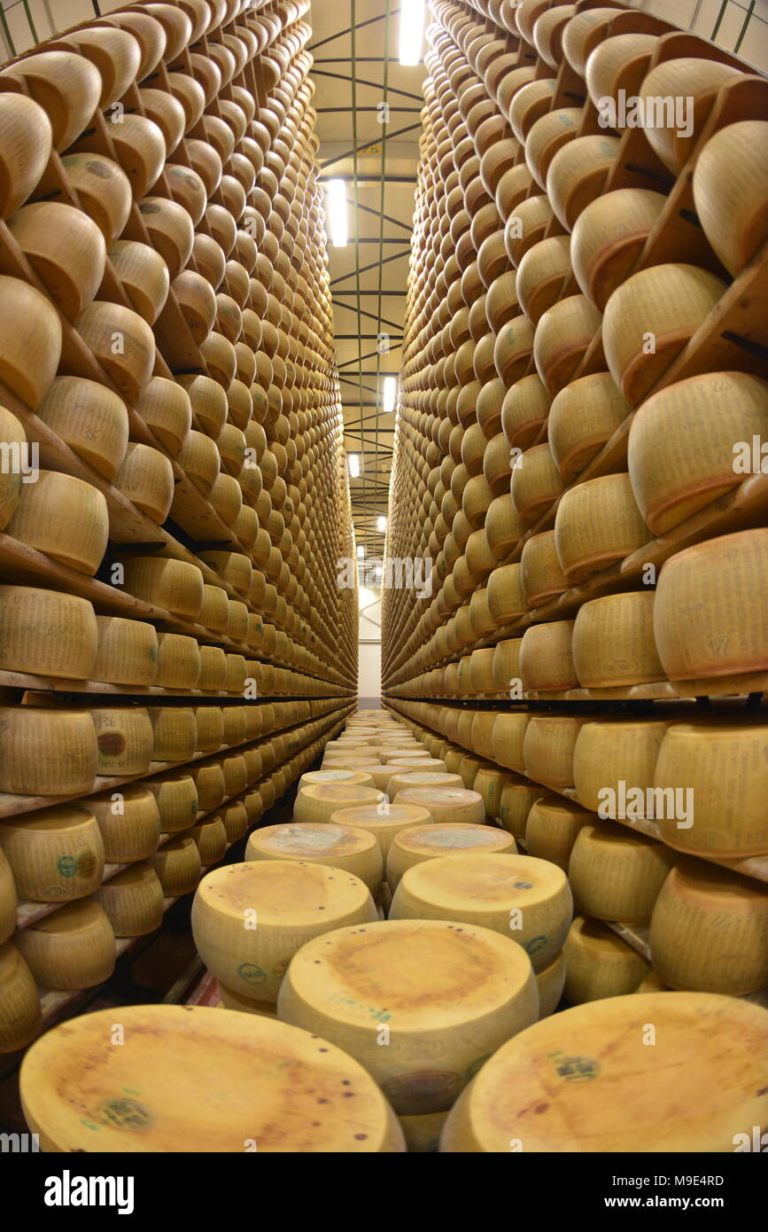 Parmesan cheese storage in Reggio Emilia, Italy Stock Photo - Alamy