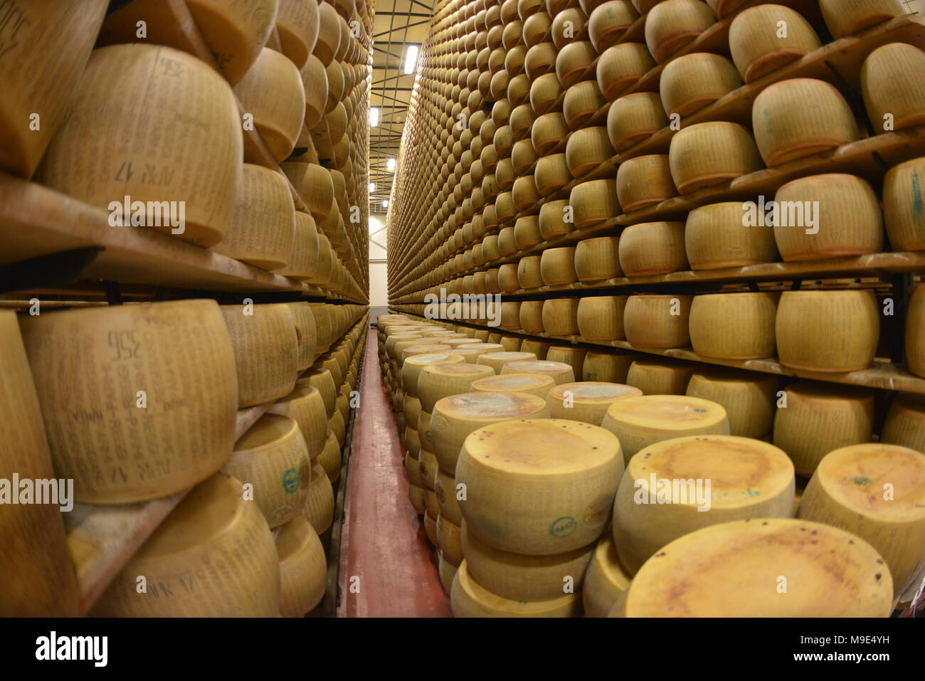 Parmesan cheese storage in Reggio Emilia, Italy Stock Photo - Alamy