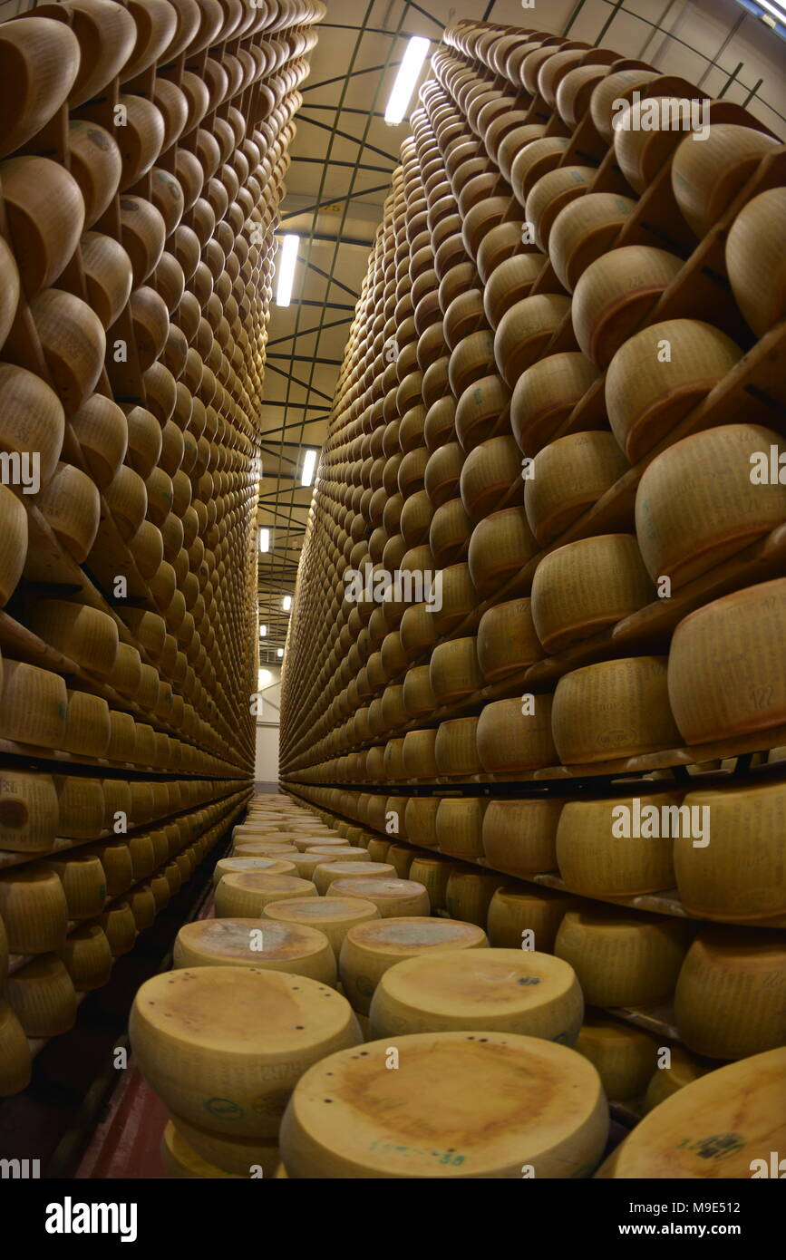 Parmesan cheese storage in Reggio Emilia, Italy Stock Photo - Alamy