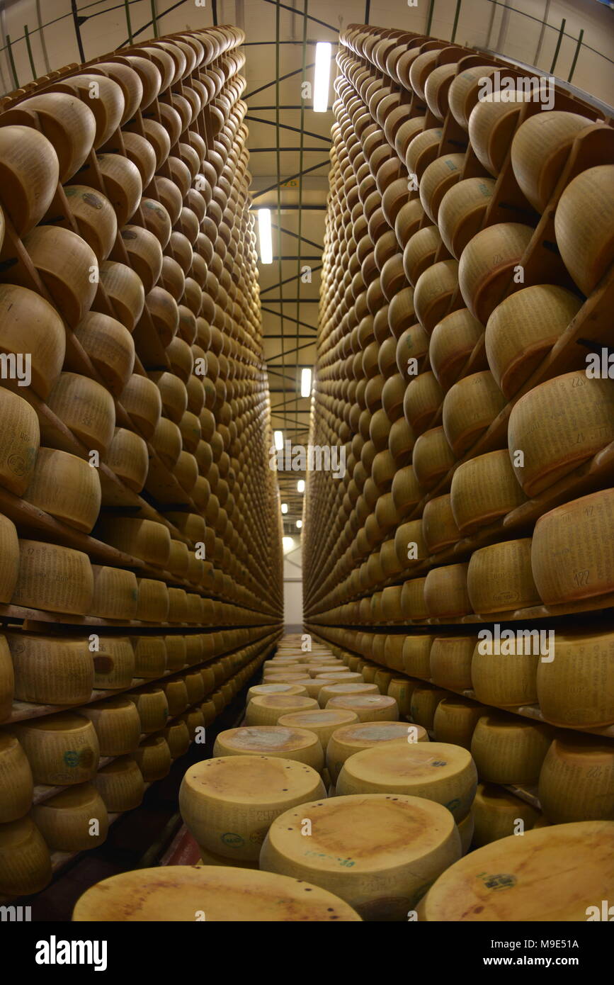 Parmesan cheese storage in Reggio Emilia, Italy Stock Photo - Alamy