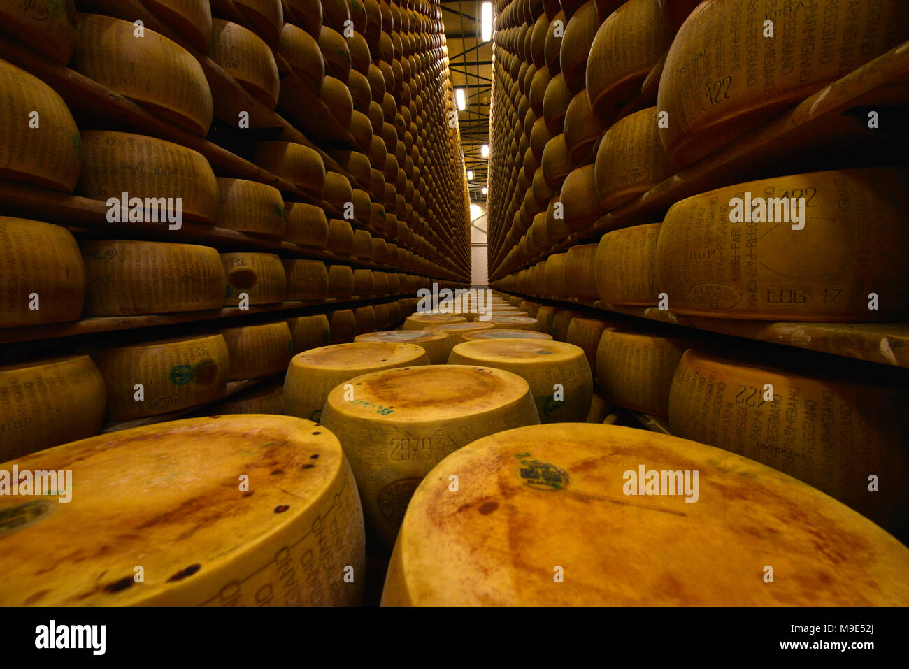 Parmesan cheese storage in Reggio Emilia, Italy Stock Photo - Alamy