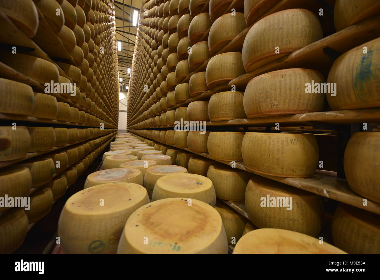 Parmesan cheese storage in Reggio Emilia, Italy Stock Photo - Alamy