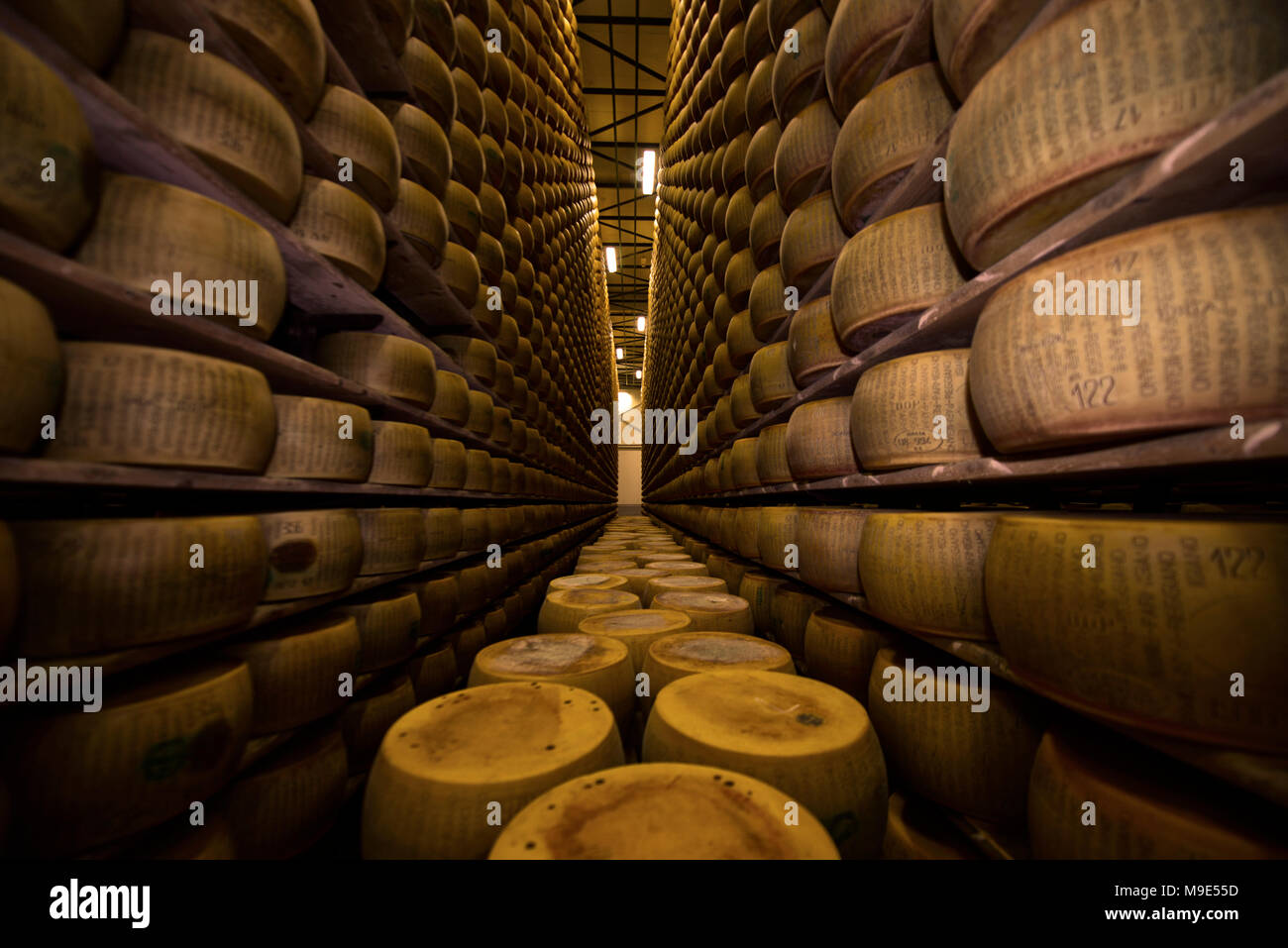 Parmesan cheese storage in Reggio Emilia, Italy Stock Photo - Alamy