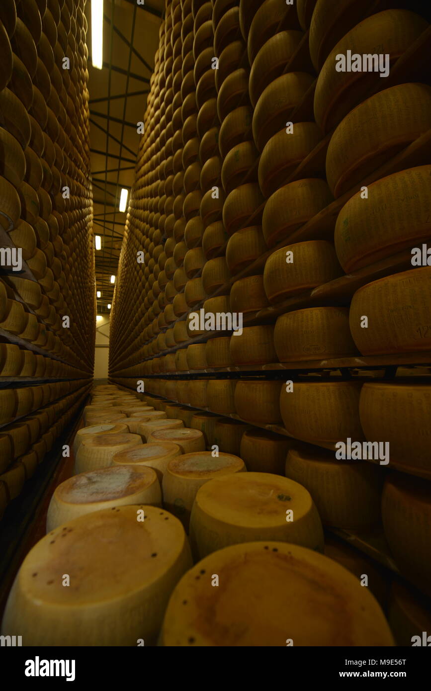 Parmesan cheese storage in Reggio Emilia, Italy Stock Photo - Alamy