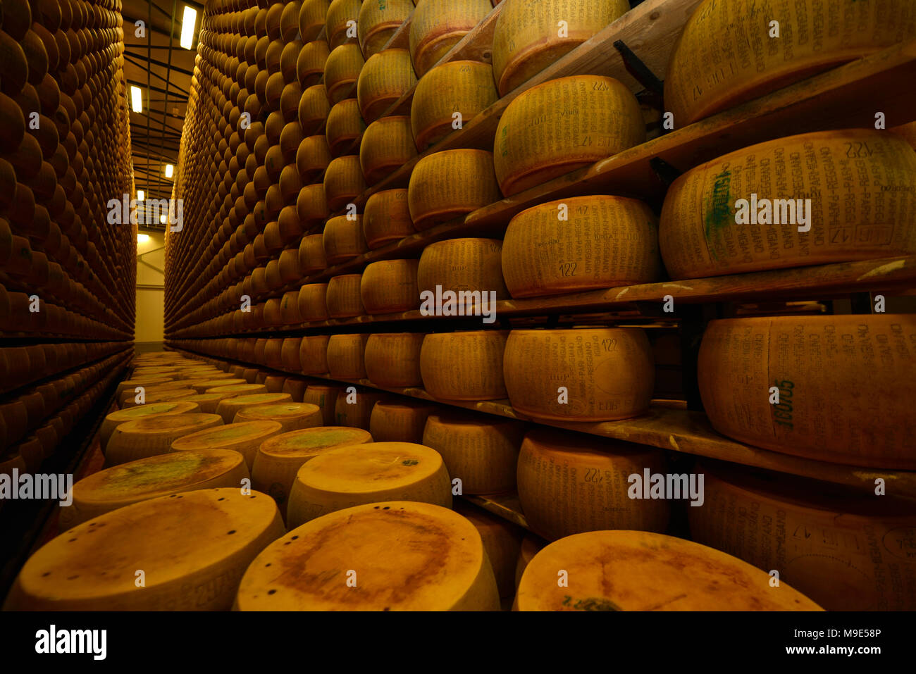 Parmesan cheese storage in Reggio Emilia, Italy Stock Photo - Alamy