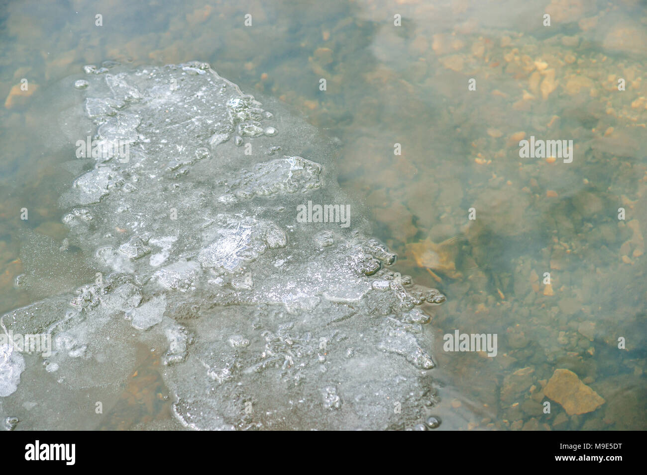 Melting ice cake in a shallow clear water of a river in spring Stock ...