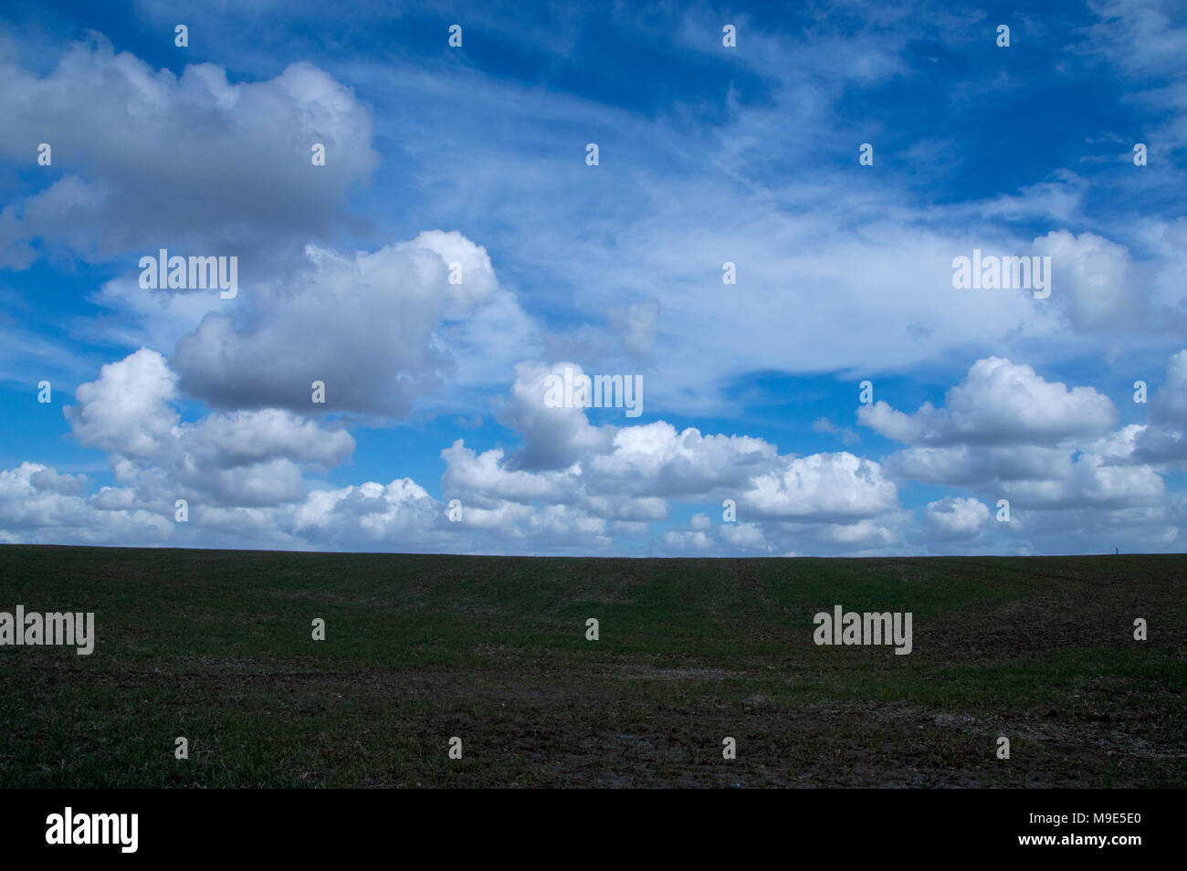 Cloudy blue sky over field Stock Photo - Alamy