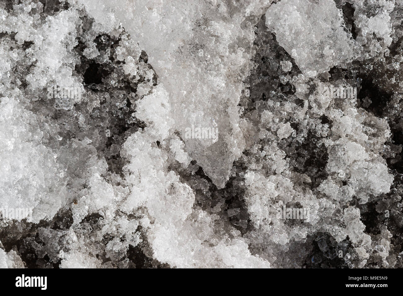 Grains of melting ice and snow of white, grey and black colors. Natural ...