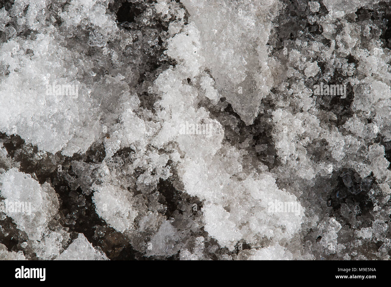 Grains of melting ice and snow of white, grey and black colors. Natural ...
