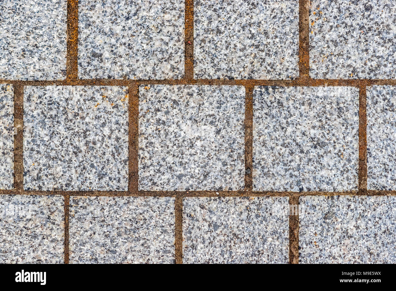 Three neat rows of square granite stone paving blocks, seams of wet ...