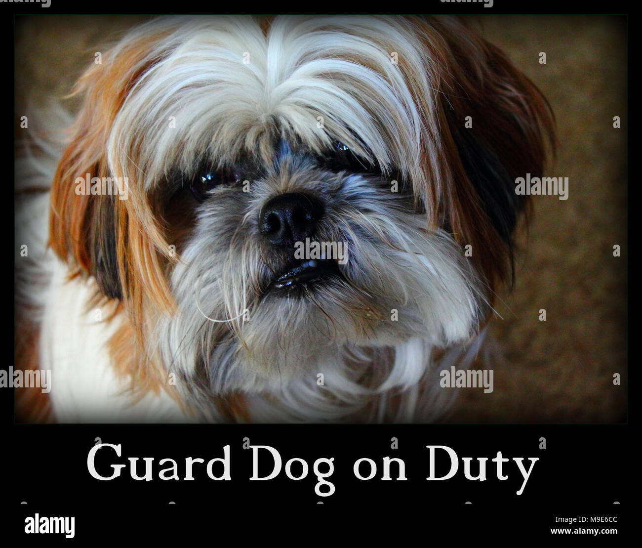 Mans duty hi-res stock photography and images - Alamy