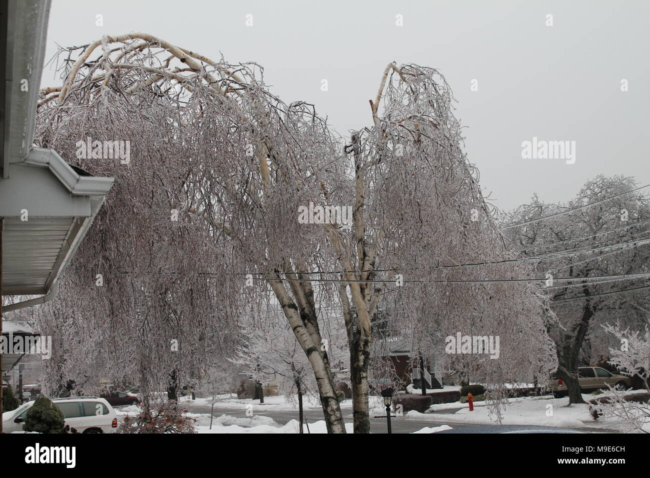 Raining ice hi-res stock photography and images - Alamy