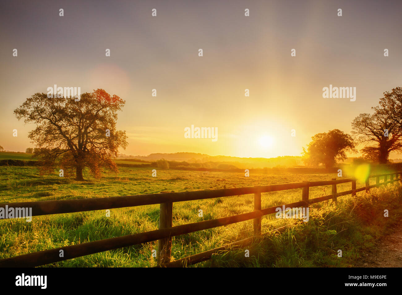Glorious sunrise over grassy rural landscape in Norfolk UK with a two ...