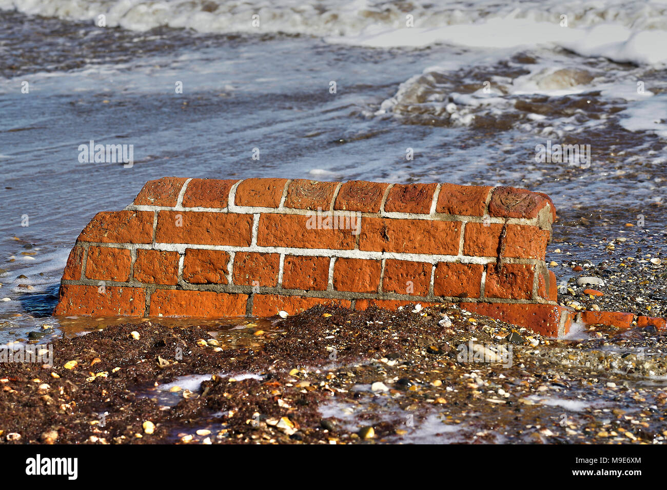 SPURN POINT WTHERNSEA BIRD WATCHING Stock Photo - Alamy