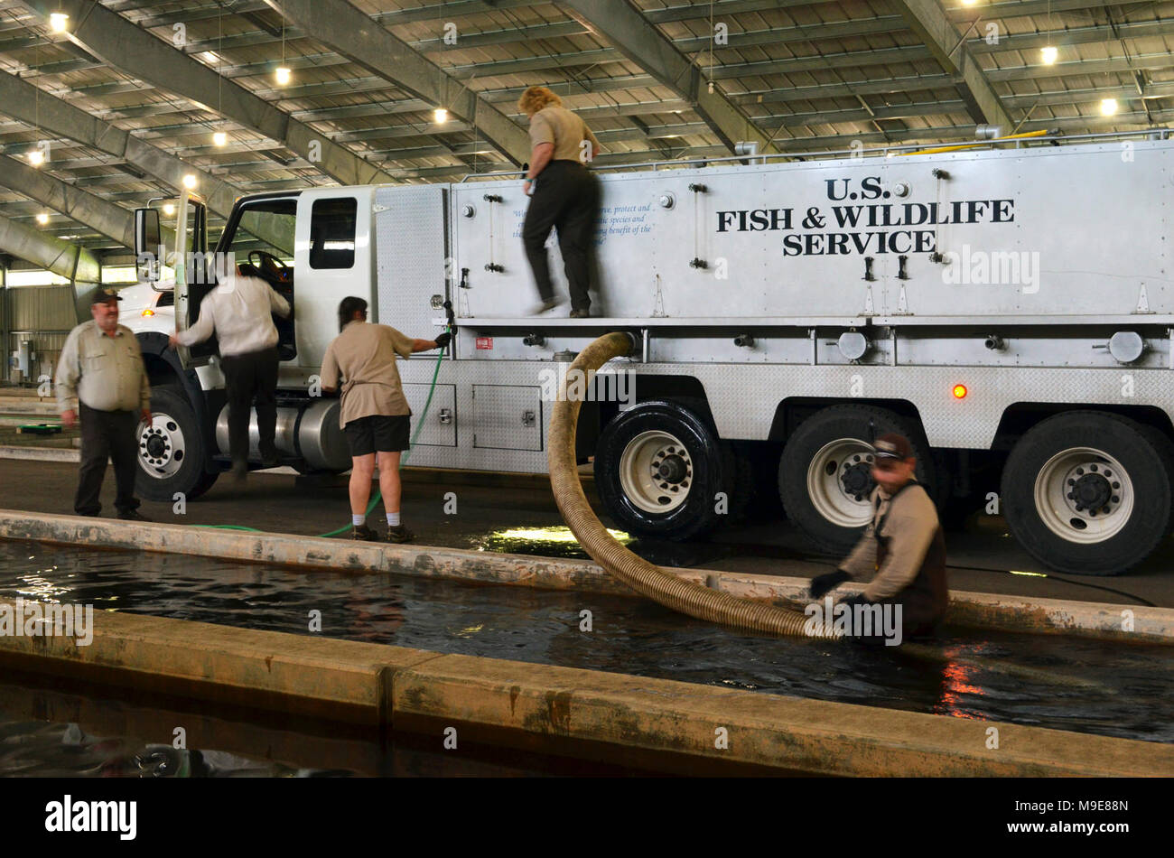 Usfws uniform hi-res stock photography and images - Alamy