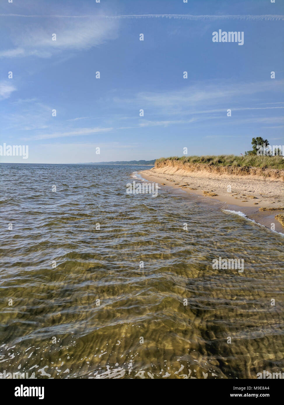 Michigan flora and fauna hi-res stock photography and images - Alamy