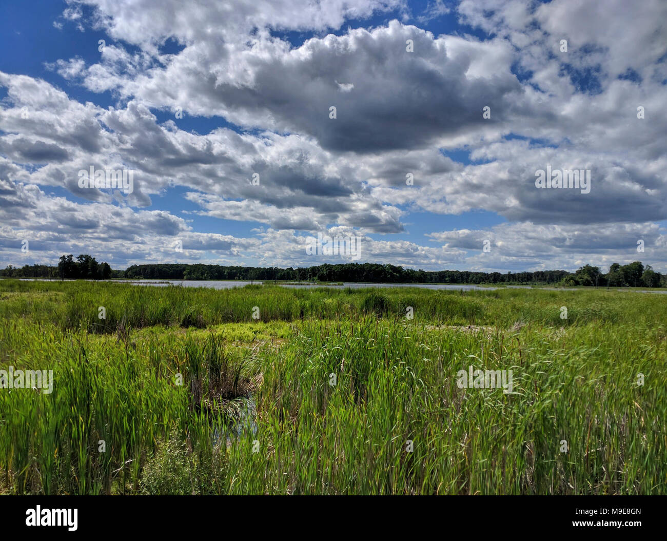 Sherburne National Wildlife Refuge Stock Photo - Alamy