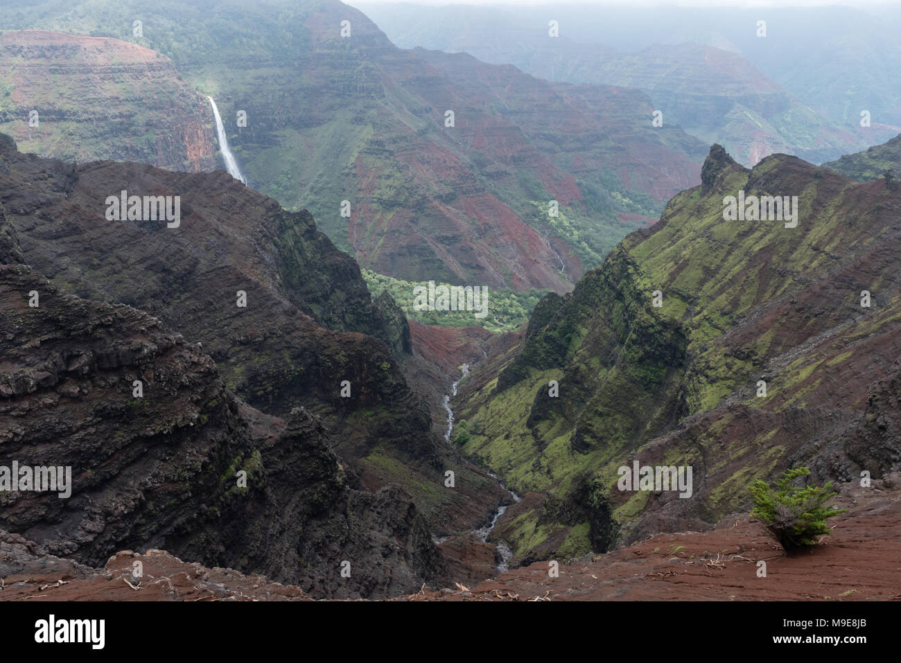 Ravine Hawaii High Resolution Stock Photography and Images - Alamy