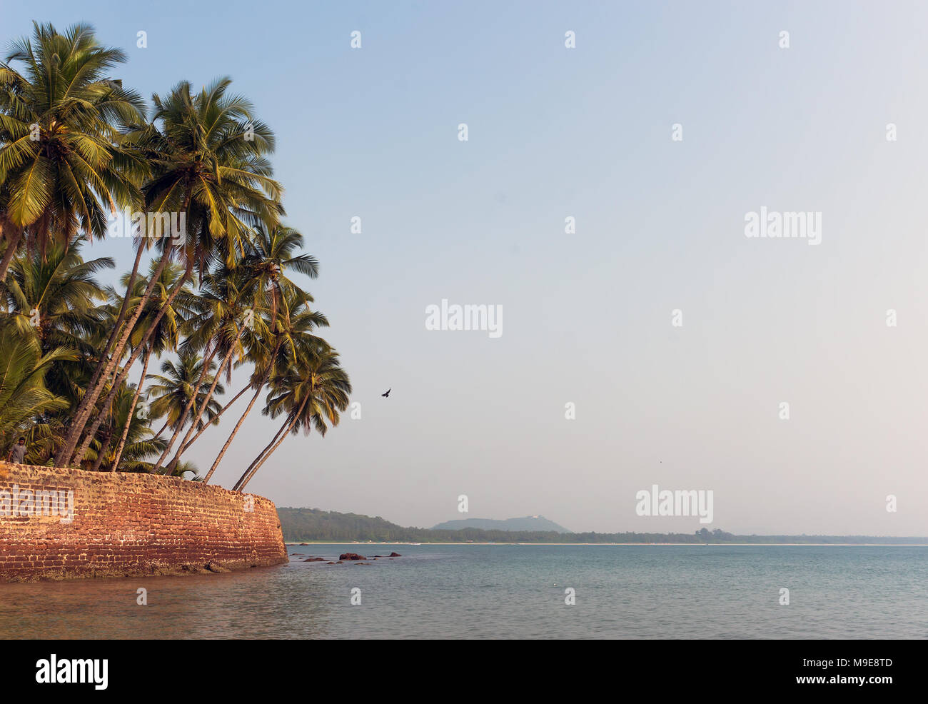 Goa india tropical rainforest hi-res stock photography and images - Alamy