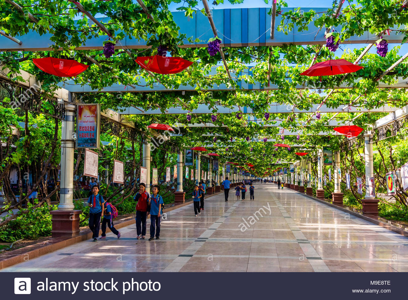 Arbor Culture High Resolution Stock Photography and Images - Alamy