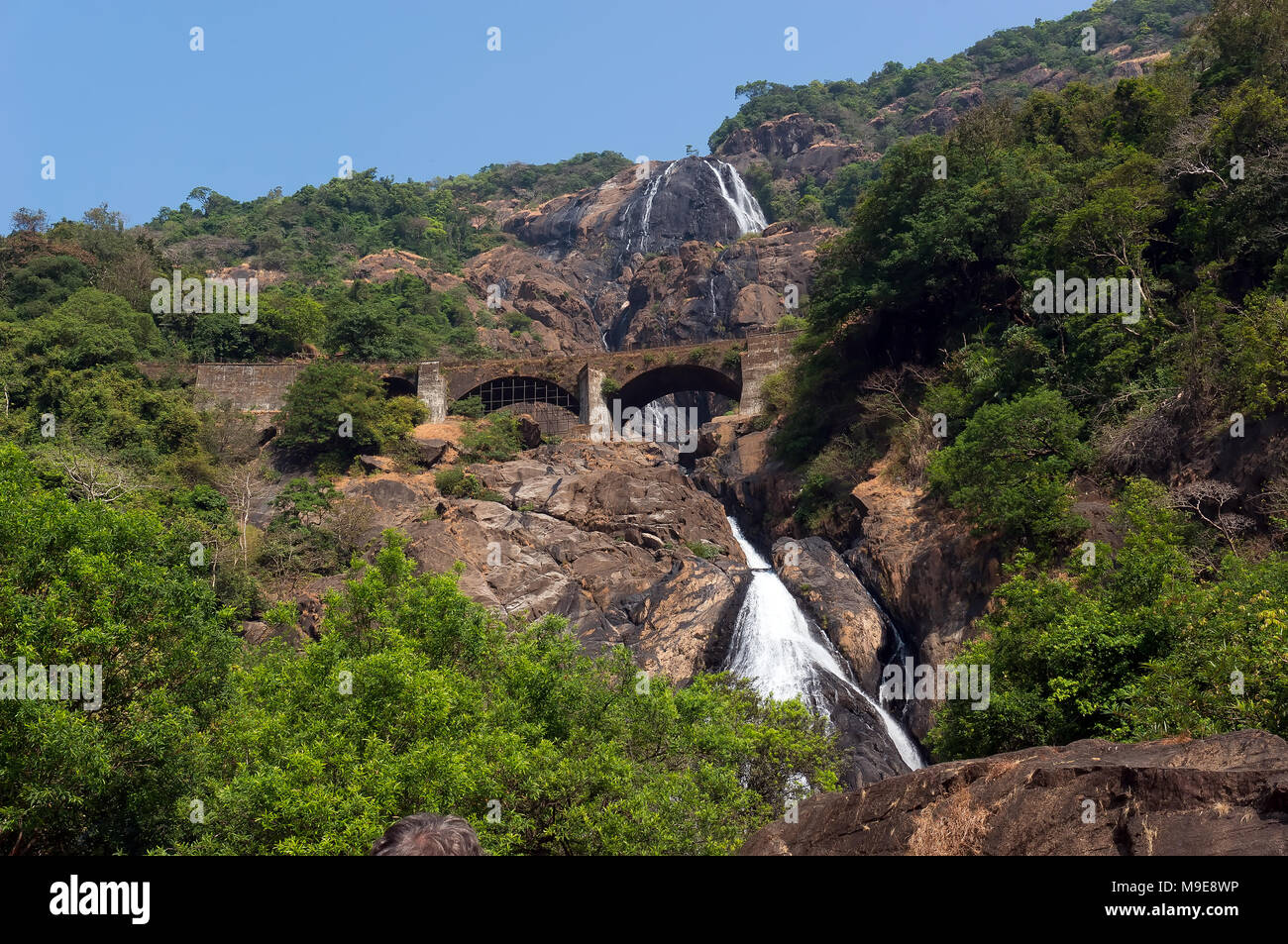 Dudhsagar - natural landmark of the state of Goa. Reserve in the ...