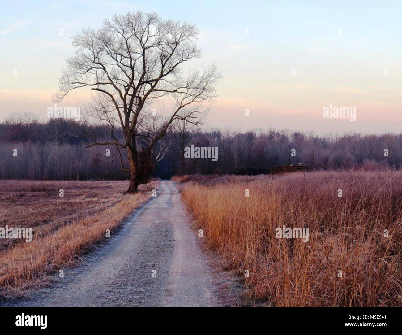Muscatatuck National Wildlife Refuge in Indiana Stock Photo - Alamy