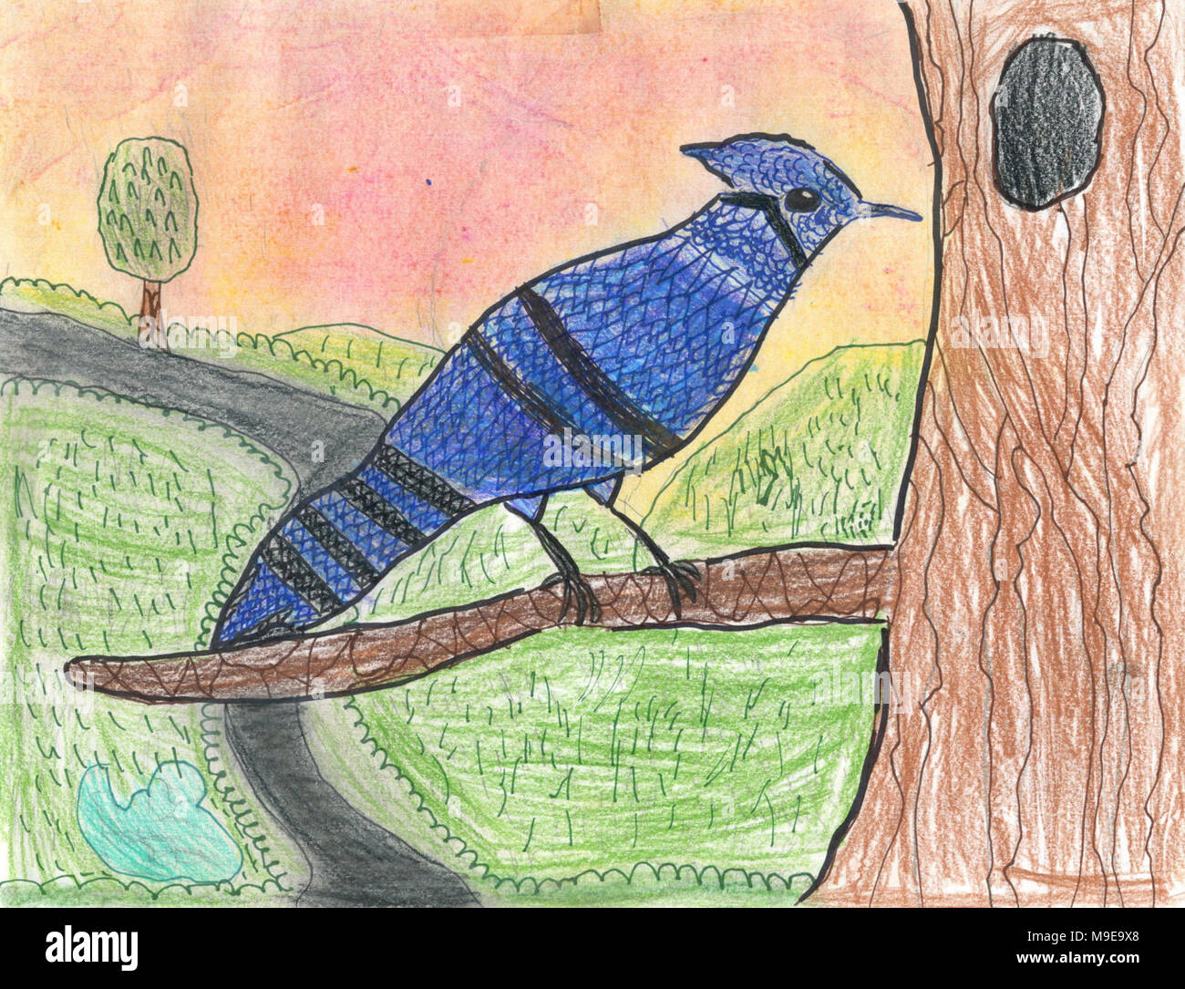 Blue jay artwork Stock Photo - Alamy