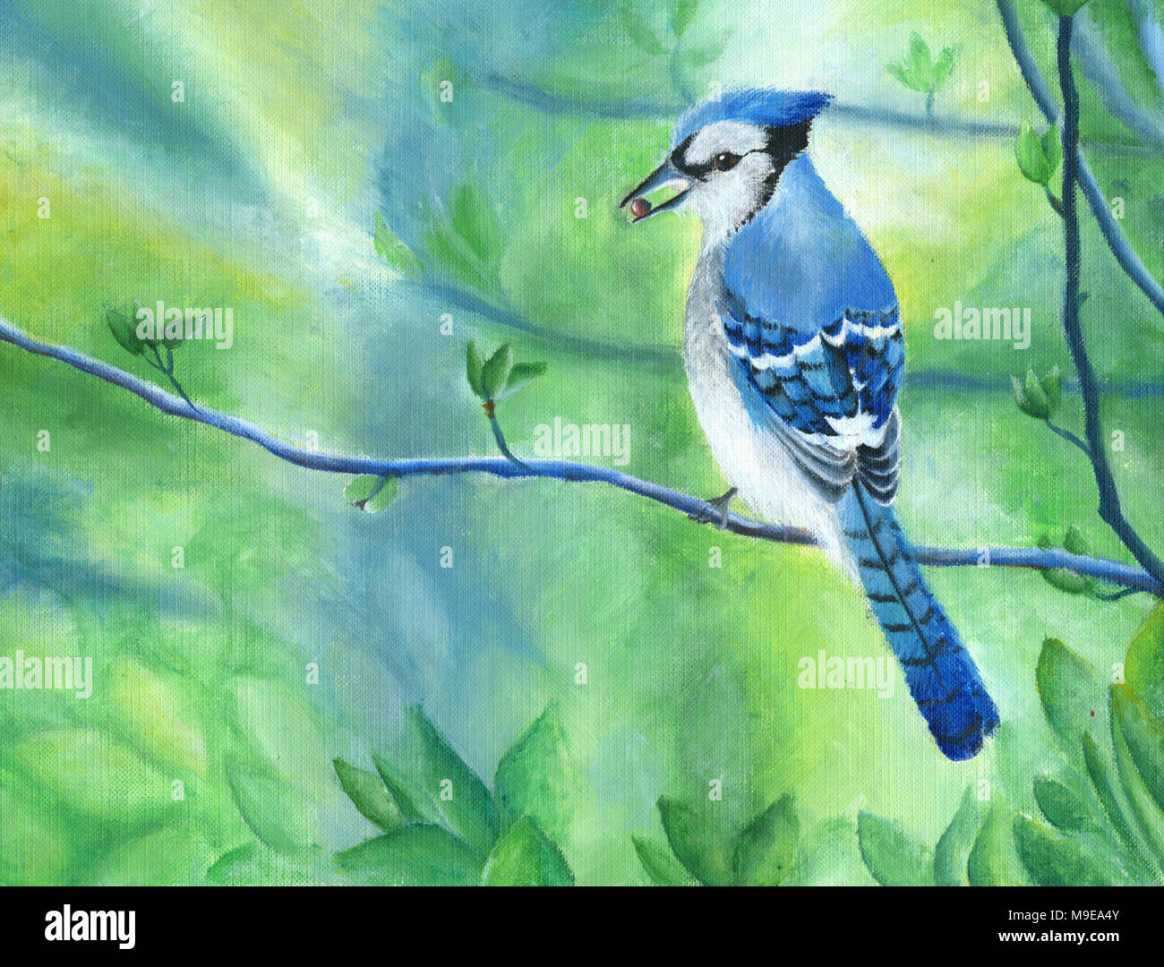 Blue jay artwork Stock Photo - Alamy