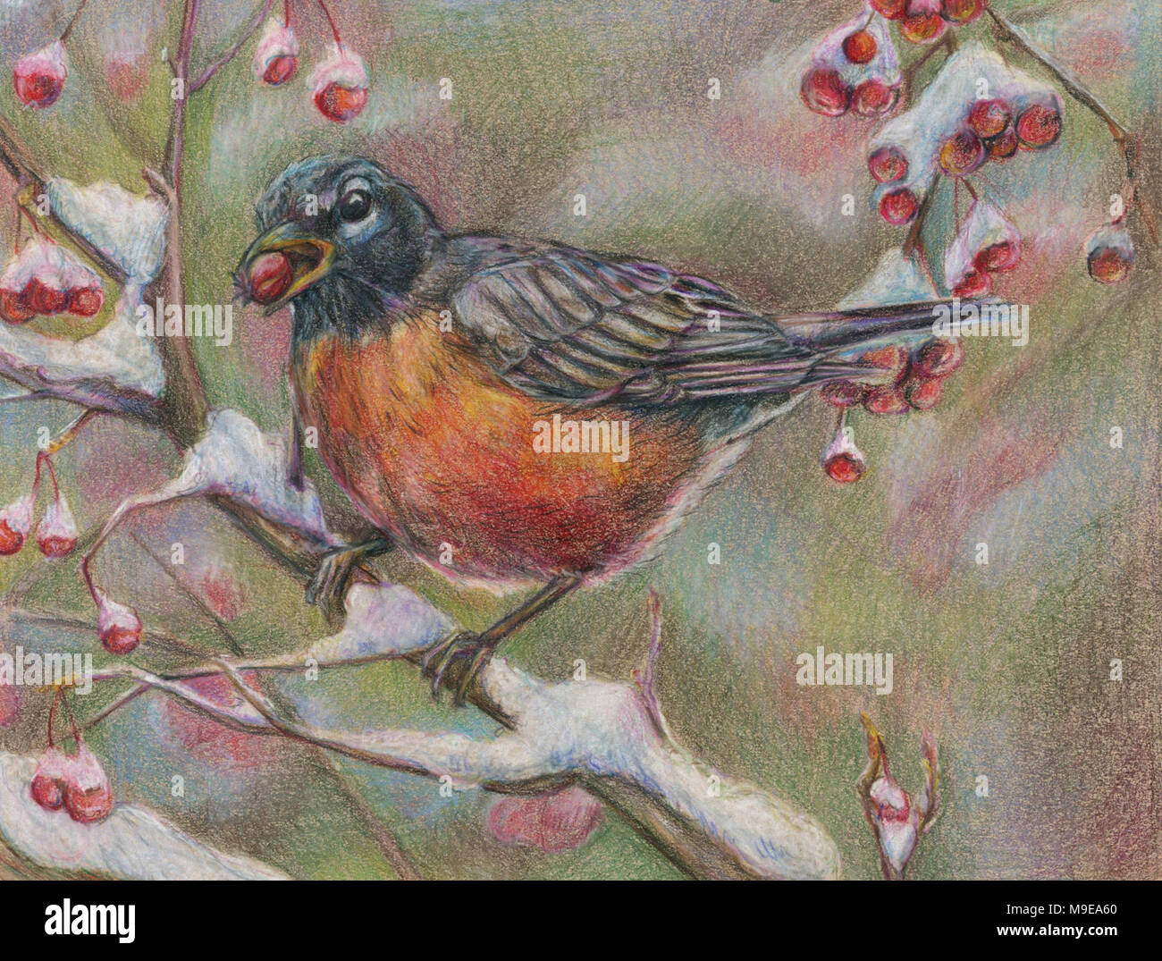 American robin artwork Stock Photo - Alamy