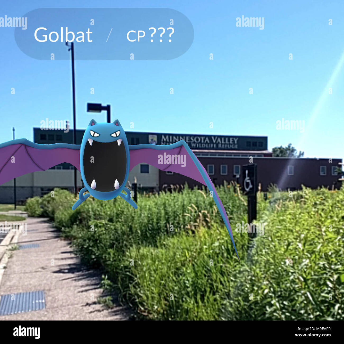 Golbat hi-res stock photography and images - Alamy