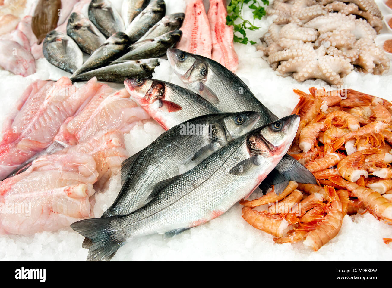 Types of shellfish hi-res stock photography and images - Alamy