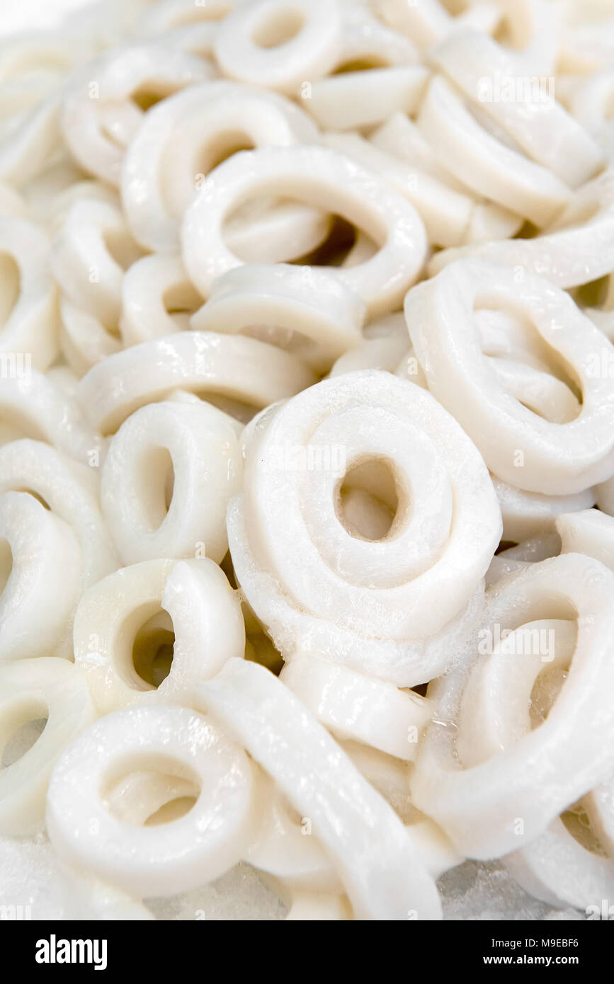 Raw Calamari Rings