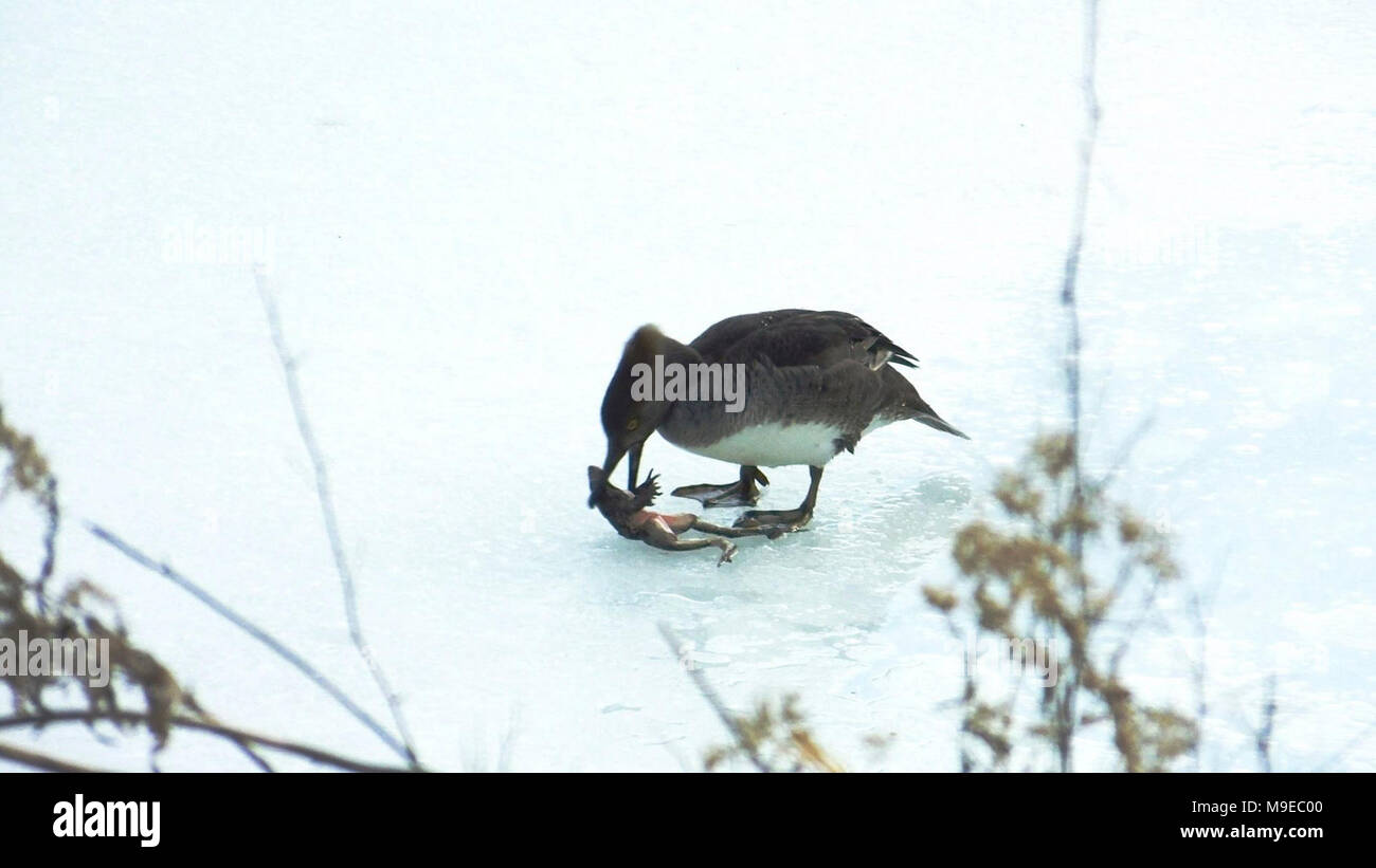 Second thought hi-res stock photography and images - Alamy