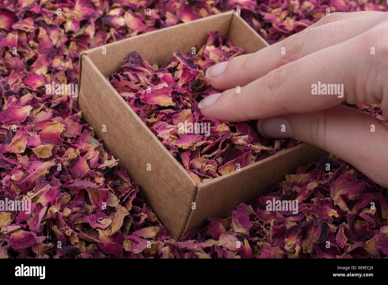 Dried rose petals in box and as a background Stock Photo - Alamy