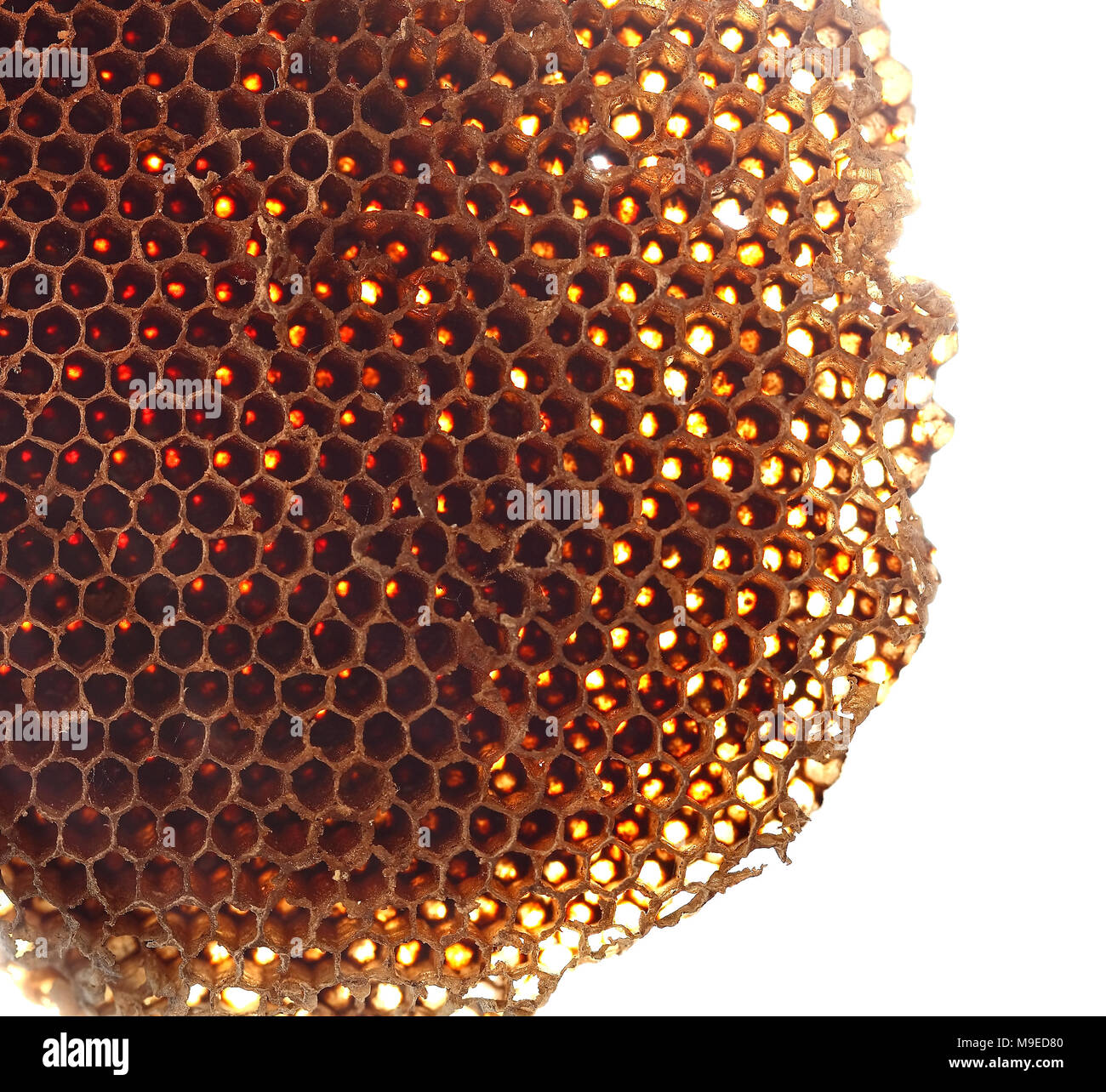 Honeycomb beehive hi-res stock photography and images - Alamy