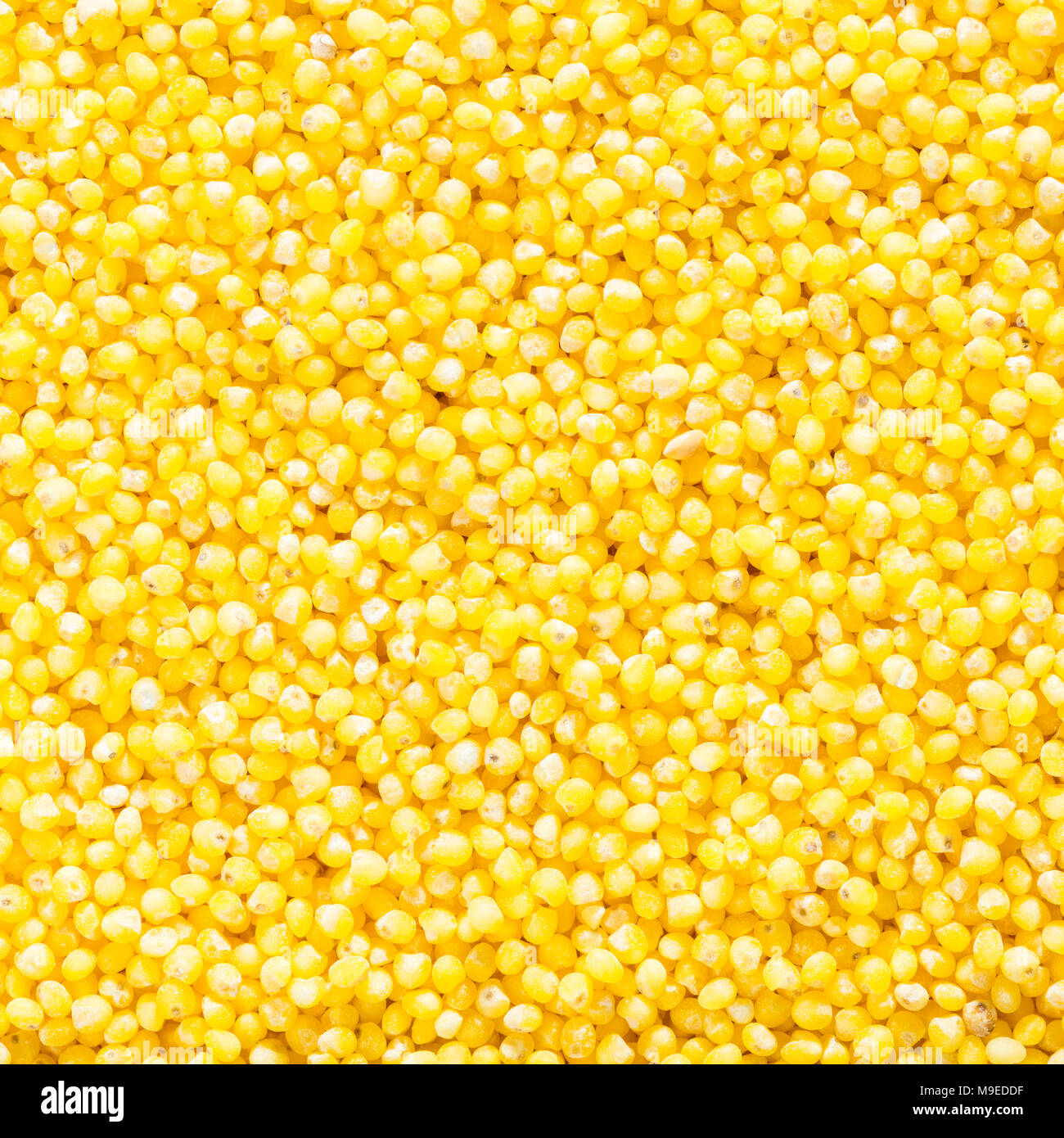 food background, texture of raw millet closeup Stock Photo - Alamy