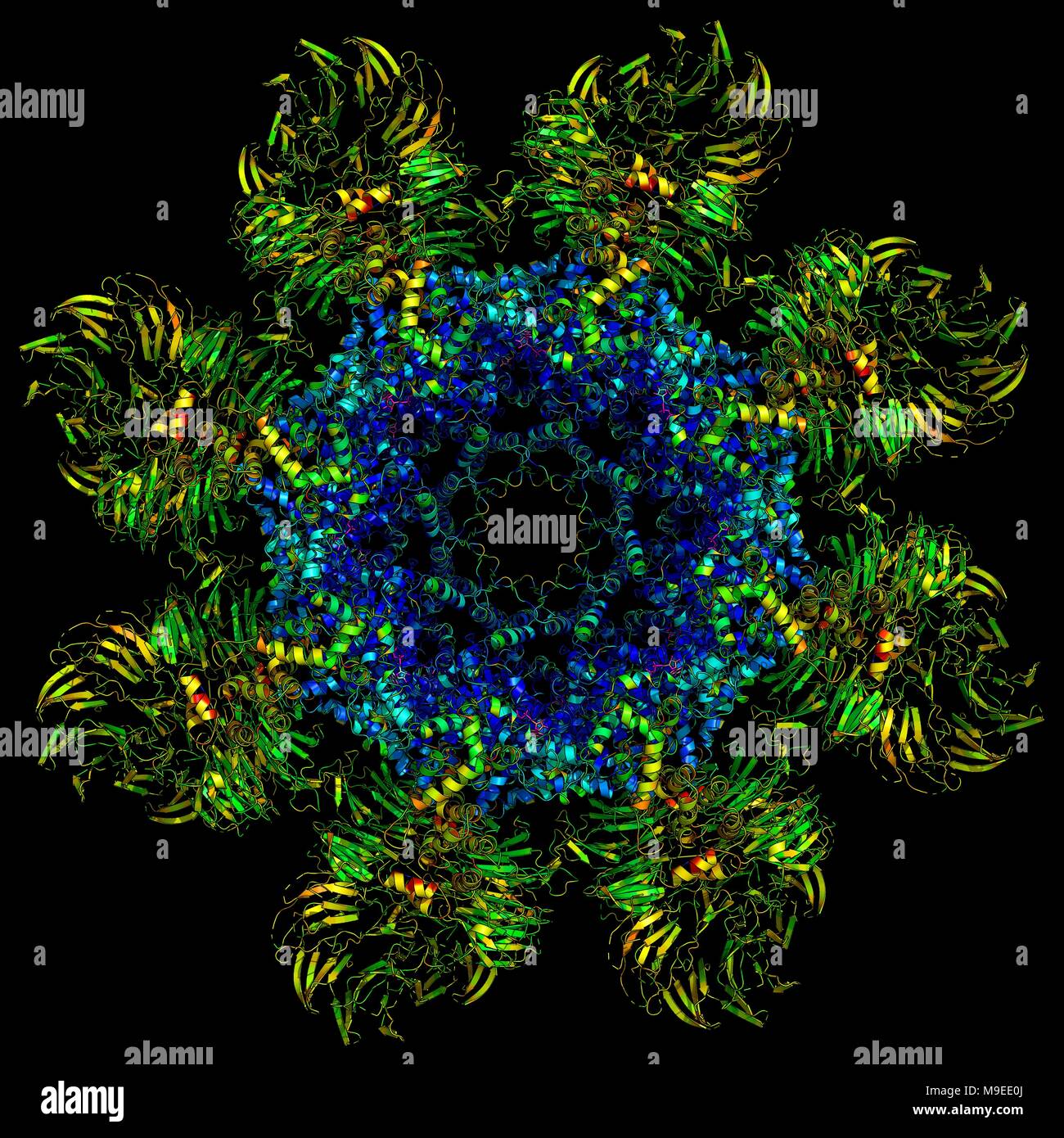 Apoptosis is the process of programmed cell death which is highly ...