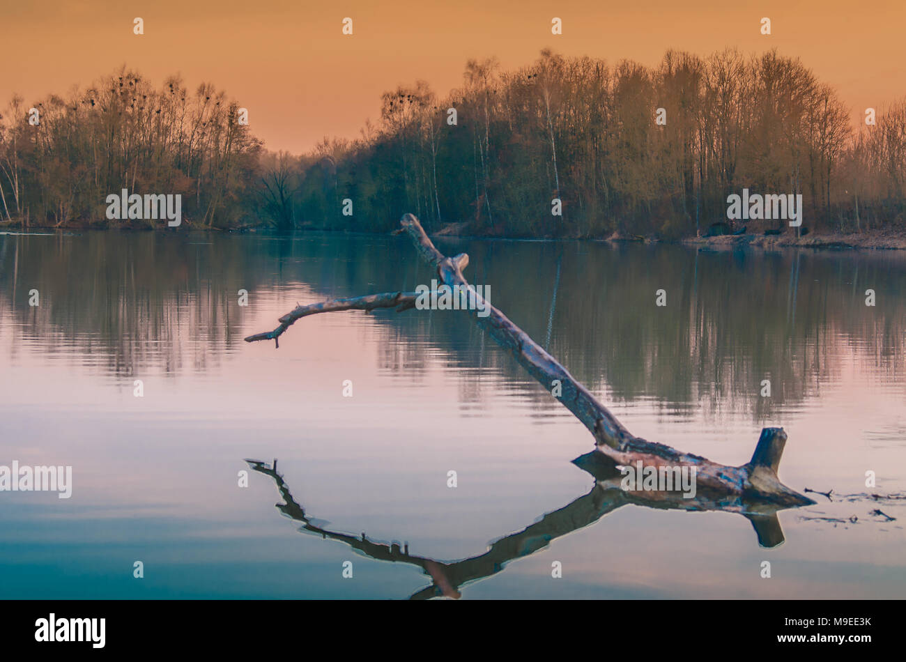 Pure scene hi-res stock photography and images - Alamy