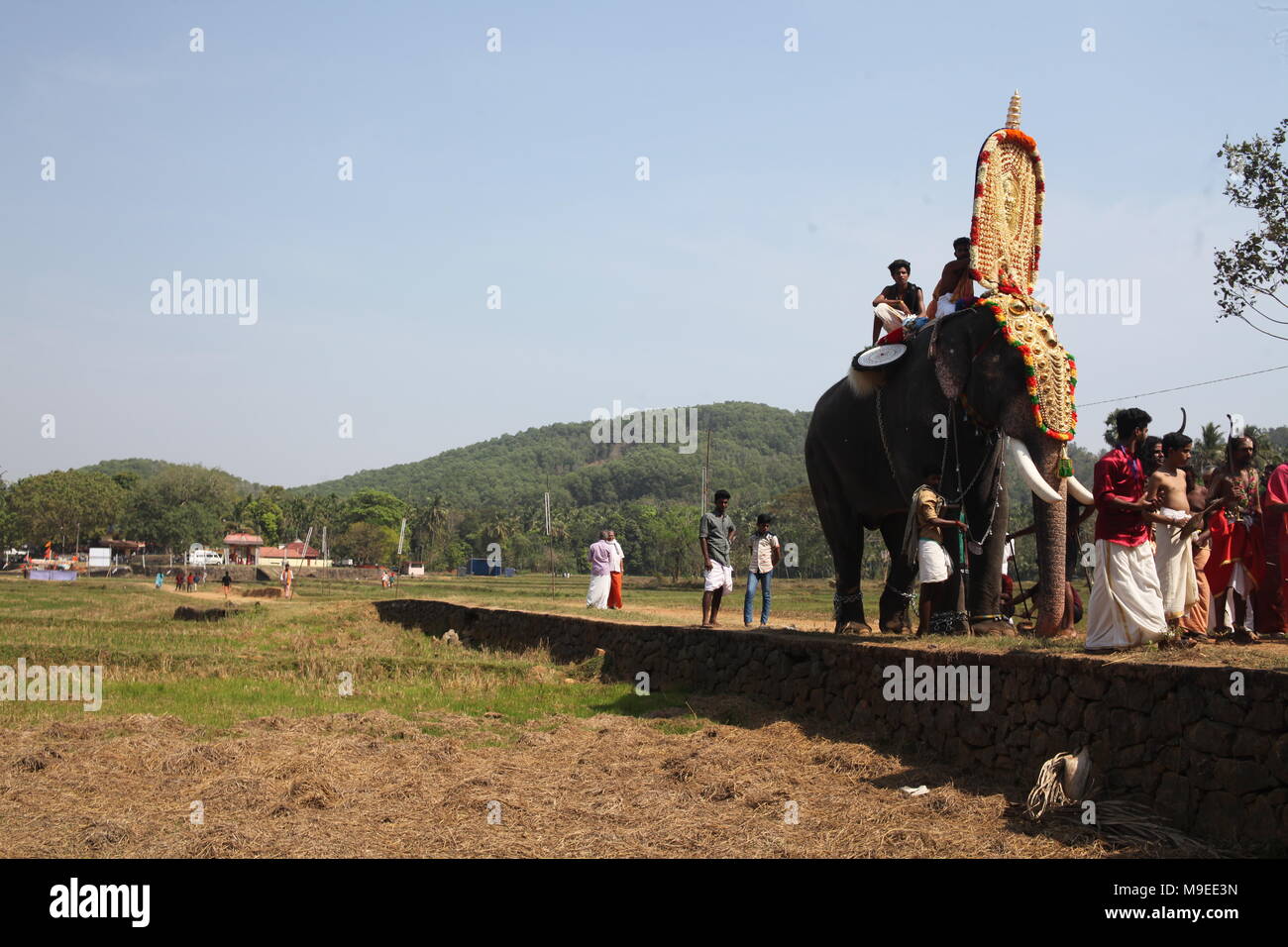 Cherpulassery Parthan 2022