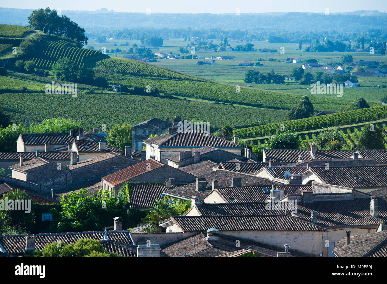 Saint-Emilion-Vineyard landscape-Vineyard south west of France ...