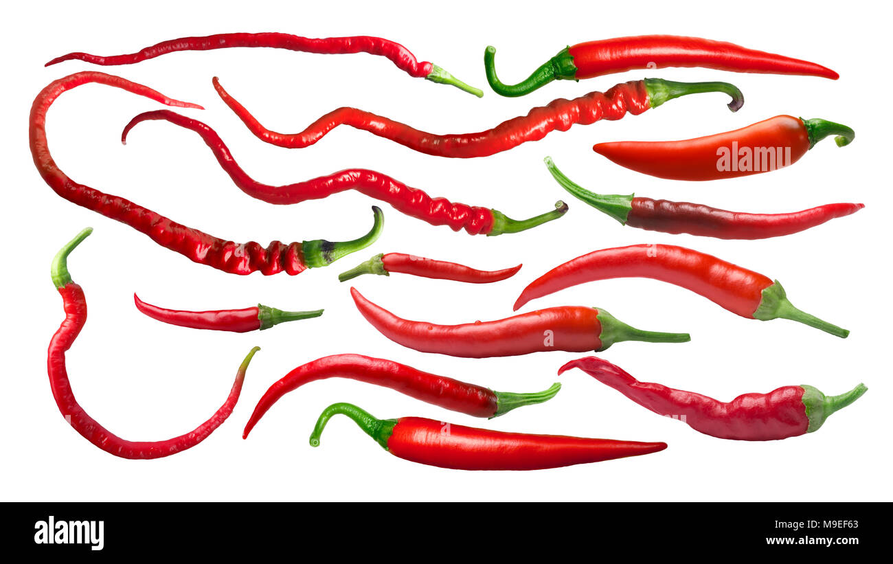 Cayenne type chile peppers, different varieties. Clipping path for each ...