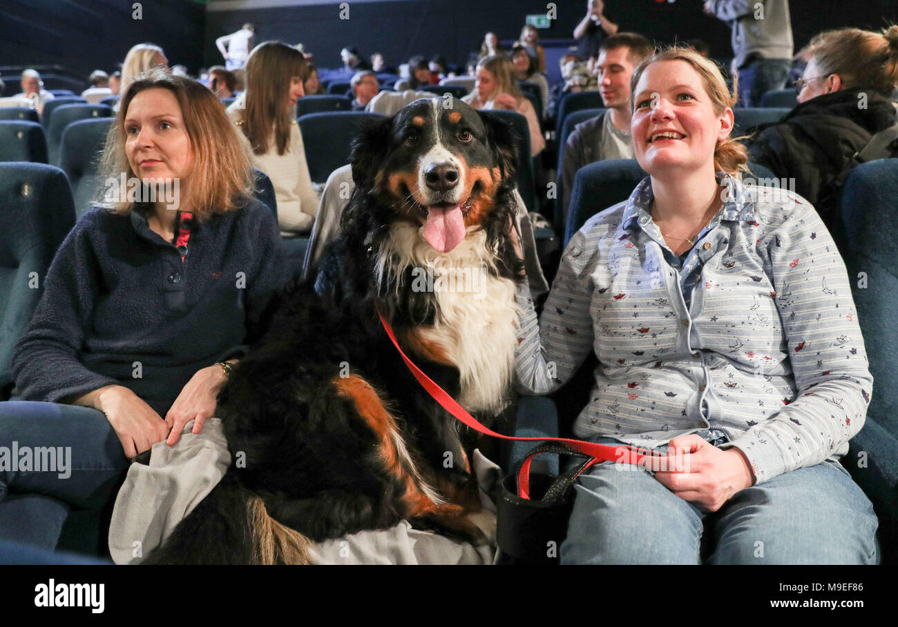 Anna Springett (left) and sister in law Amy Springett with Burnese ...