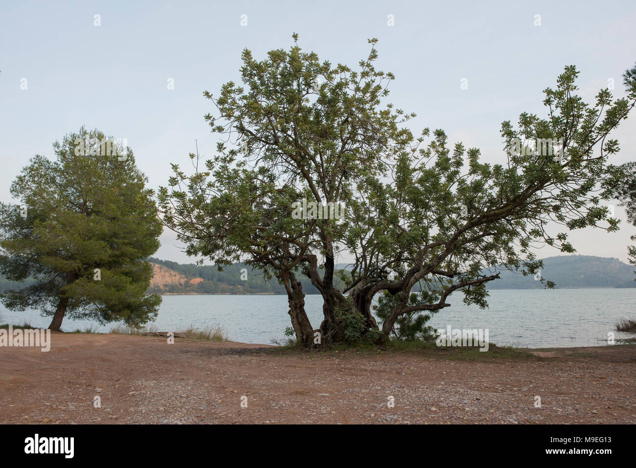 The Sichar reservoir in Castellón Stock Photo - Alamy